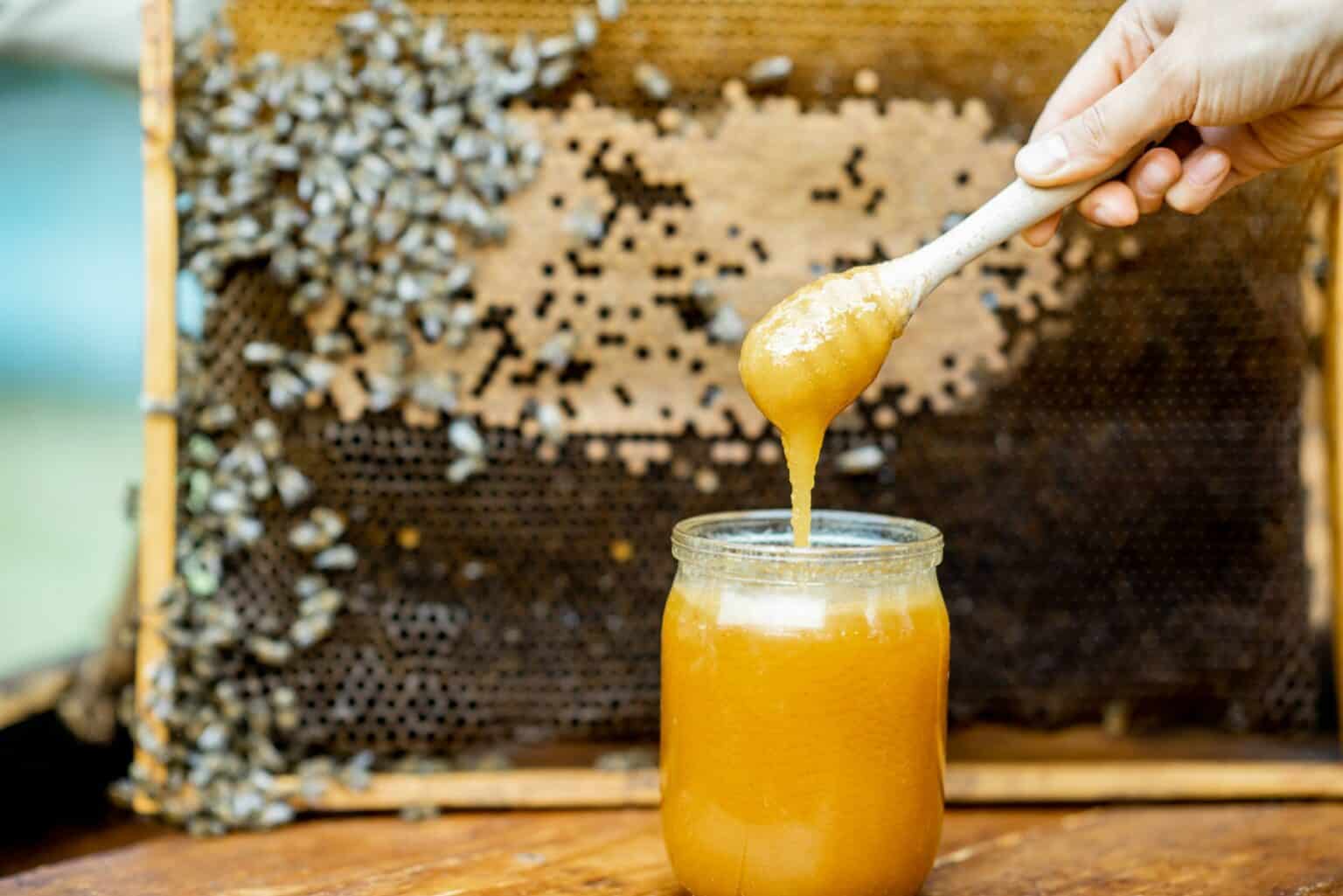 5 Simple Steps: How to Make Mead at Home for Beginners